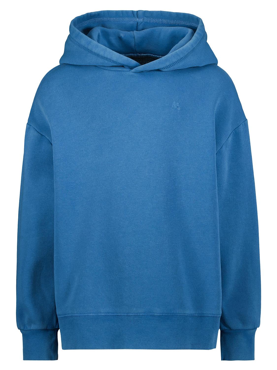 AO76 hoodie arthur Blue for boys | NICKIS.com